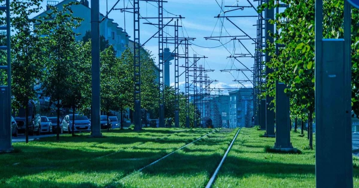 Succulents – the new plants to green tram tracks in Vienna | TheMayor.EU