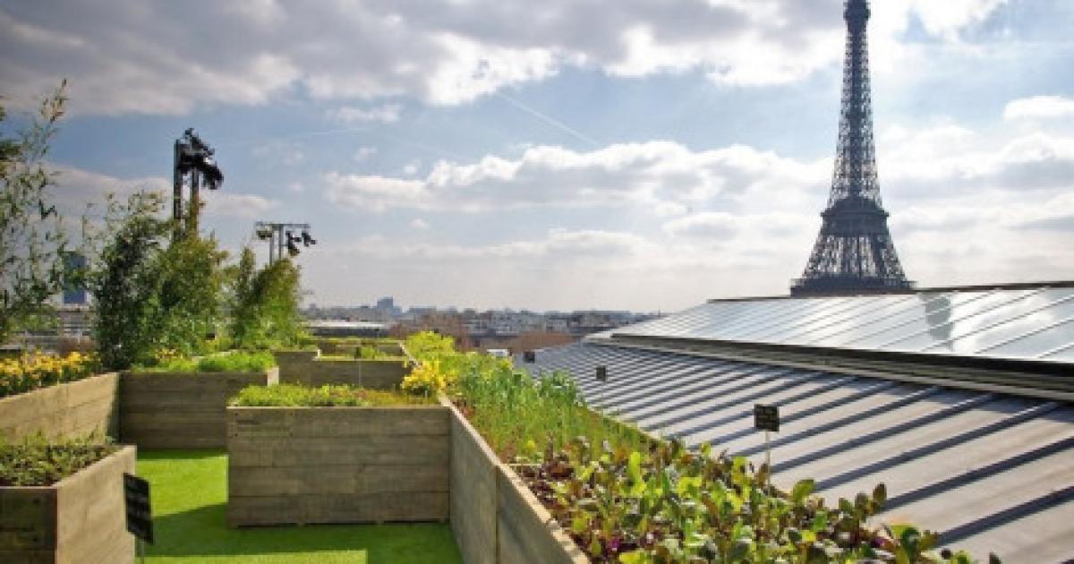 “Parisculteurs” aims to cover 247 acres of rooftops and walls with greenery