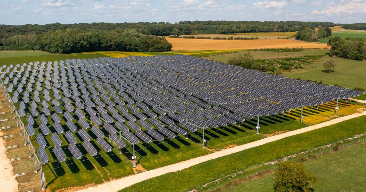 Agrivoltaics: weather-smart solar panels aid in food production ...