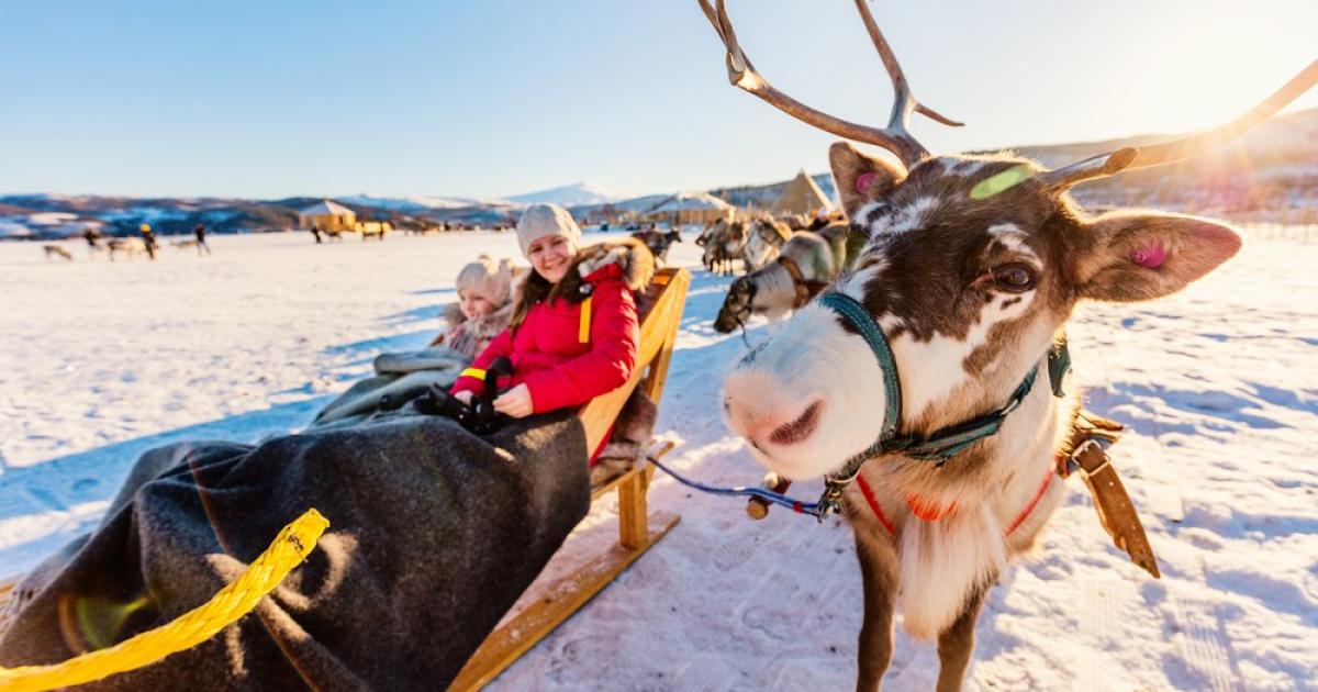 Hitch a reindeer ride with Uber next week in Lapland | TheMayor.EU