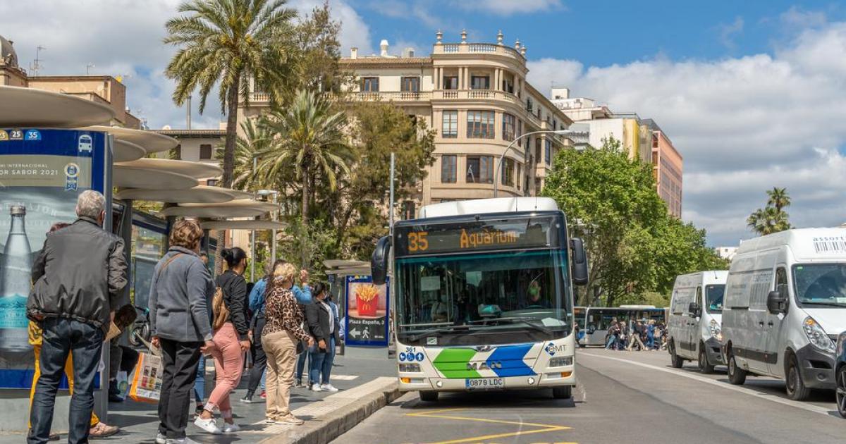 Palma de Mallorca’s city buses will be free to ride in 2023 | TheMayor.EU