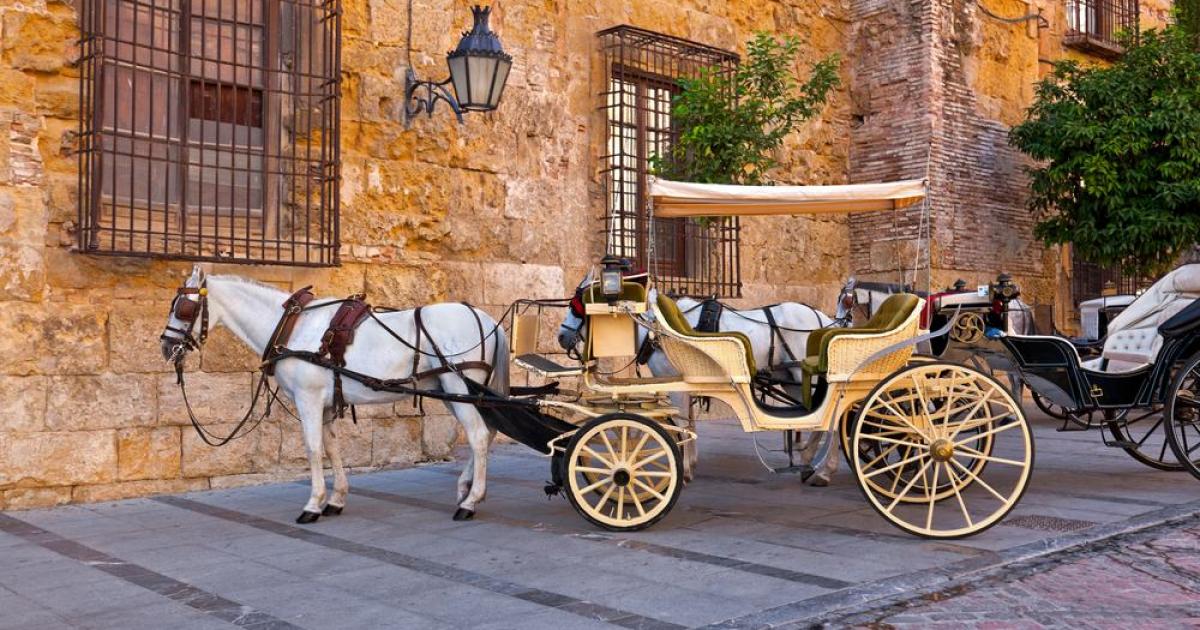 Spain aims to nudge cities to replace horse-drawn carriages with ...