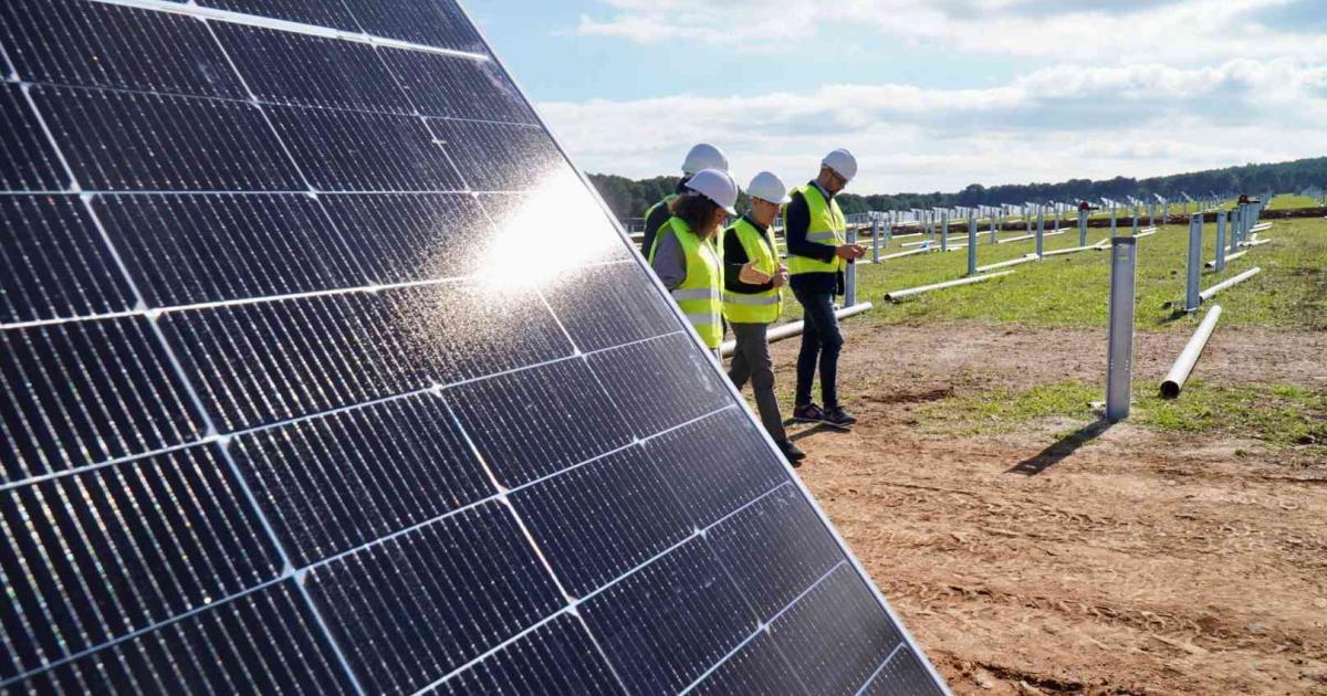 The first agrovoltaic park in the Balearics will boost solar capacity ...