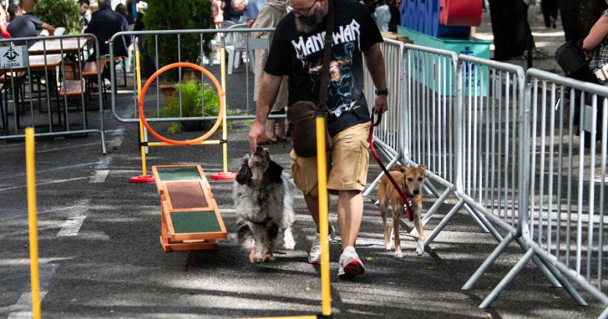 This week, Lisbon is testing out the “superblock” concept | TheMayor.EU