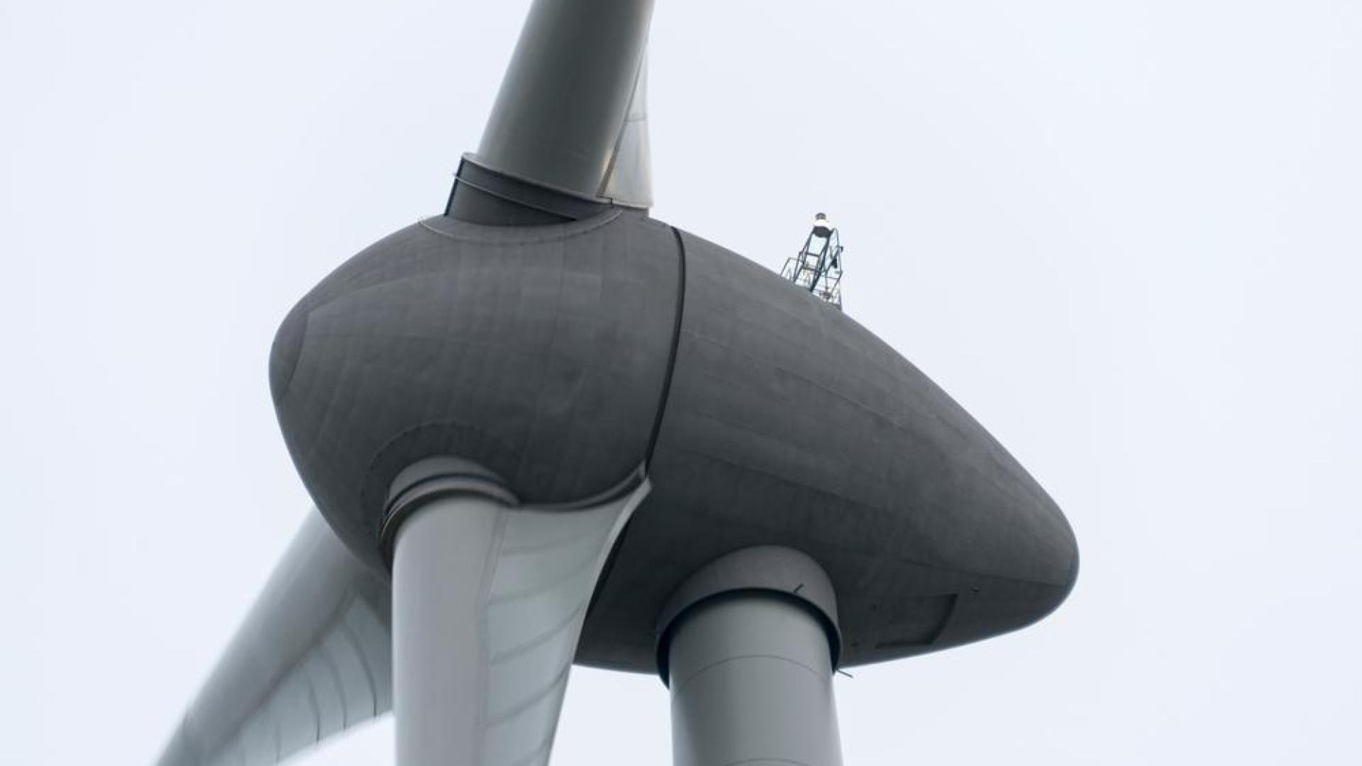 In 2023 Belgium Produced More Electricity From Renewables Than Fossil