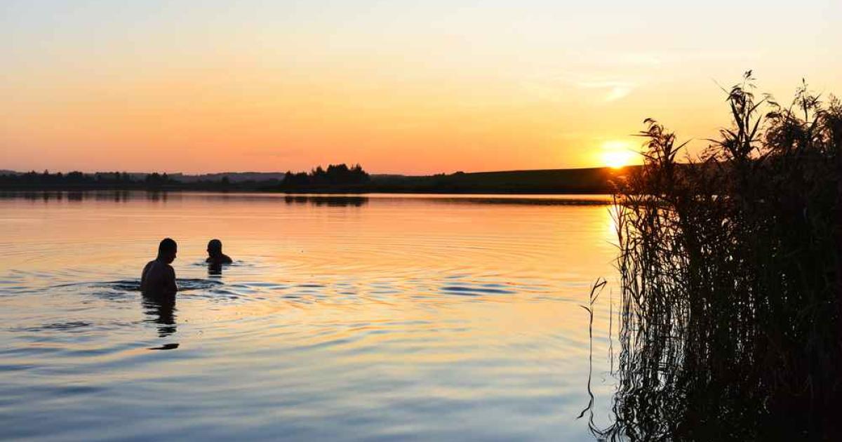 Which European countries have the best quality bathing waters ...