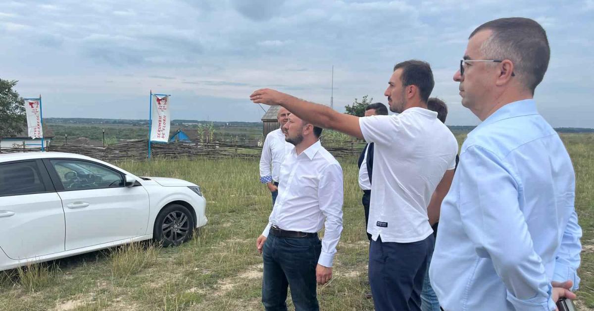 Tulcea's plan: From barren lands to the largest urban forest in Romania ...