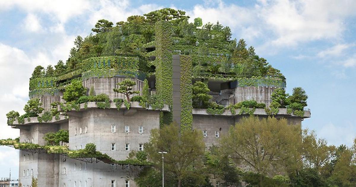 Hamburg with a long list of ambitious green roof projects