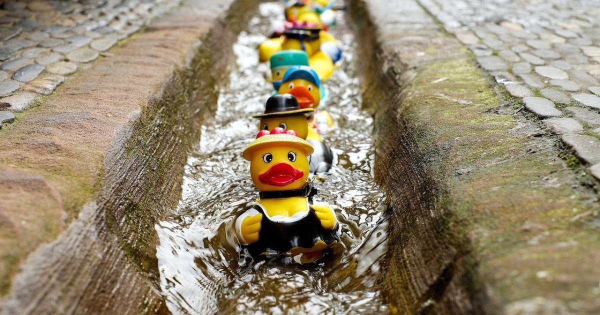 Join us for the traditional Duck Race in Luxembourg