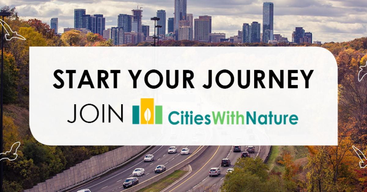 CitiesWithNature – the tool that combines nature with urban planning
