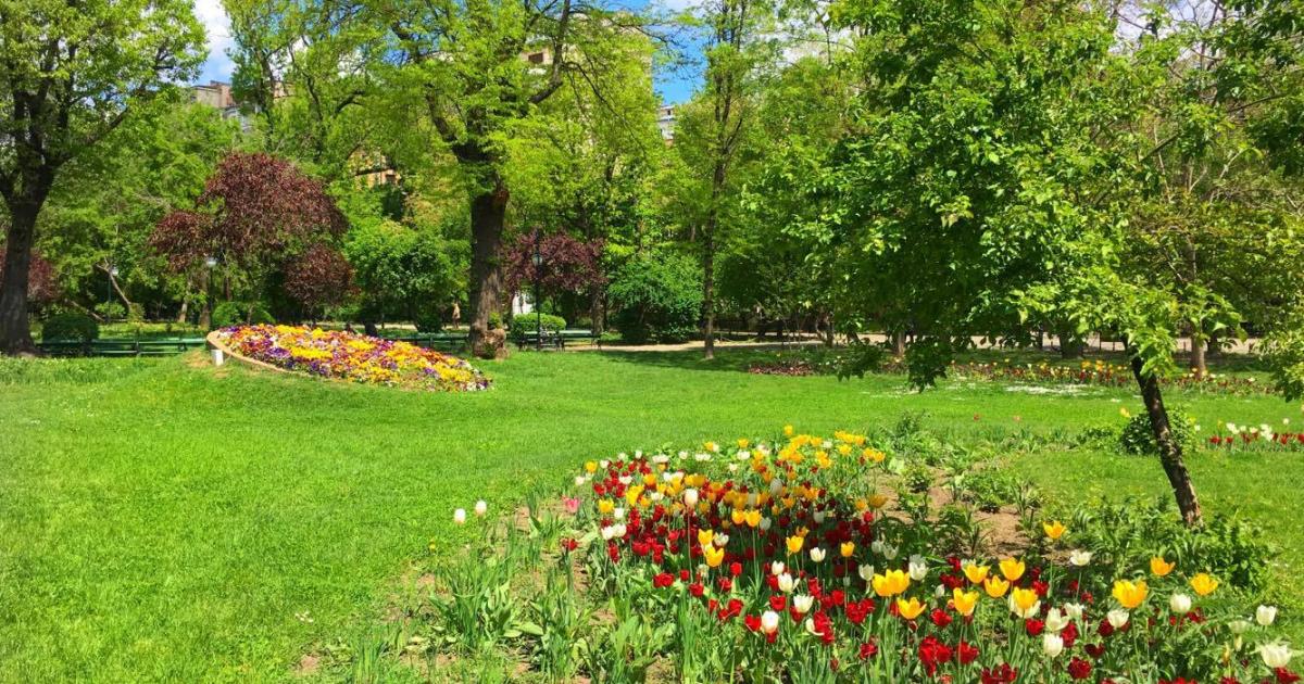 Cismigiu Gardens - the idyllic must-visit park in Bucharest