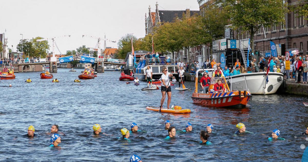 Dutch mayors swim to fight cancer
