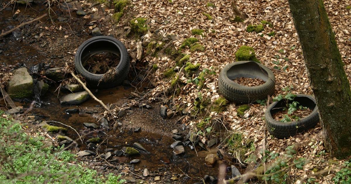 “Environment SOS” app encourages Latvians to report environmental ...