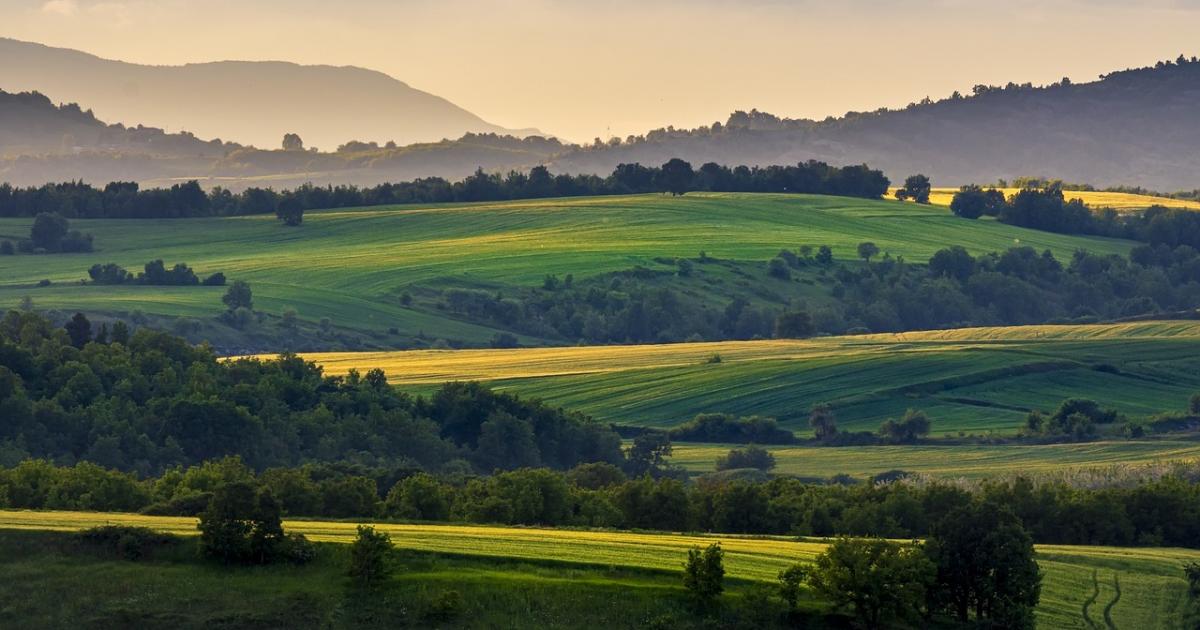 Greek agriculture to receive substantial boost |TheMayor.EU