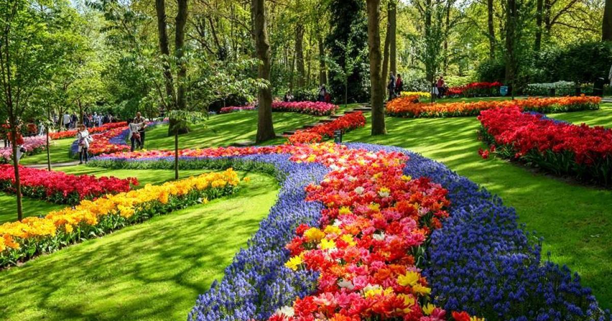 Keukenhof Park will be open from 22 March - 13 May 2018