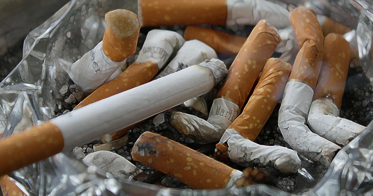 Sheffield leads by example by helping City Council staff quit smoking ...
