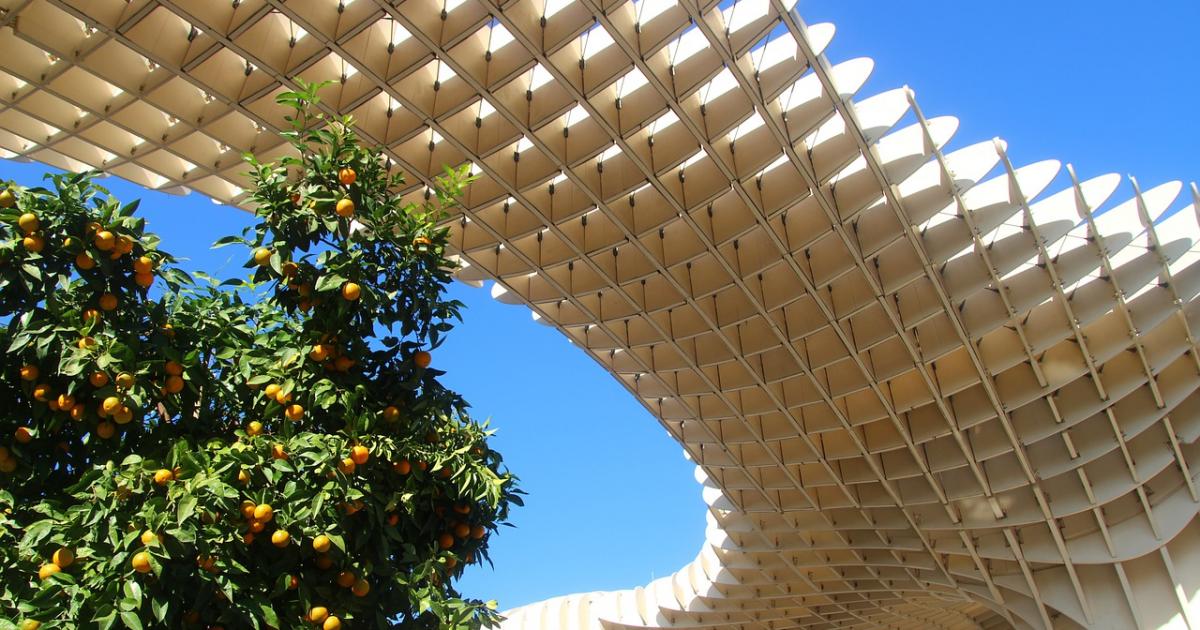 Seville turns its oranges to electricity | TheMayor.EU