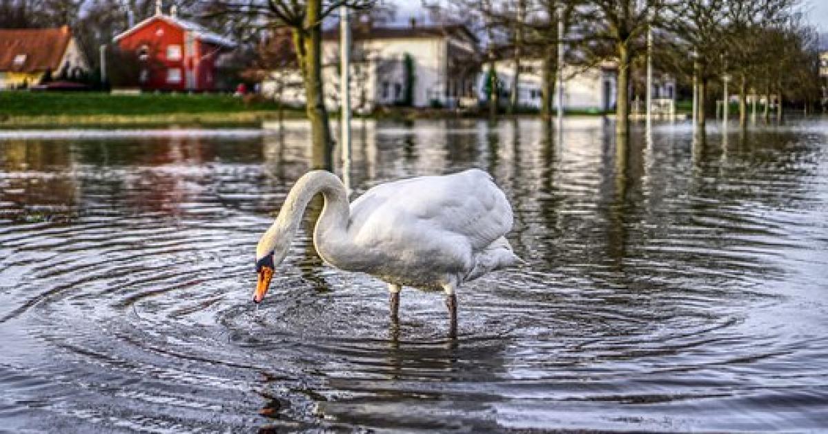 1 billion euro for flood defence programme in Ireland