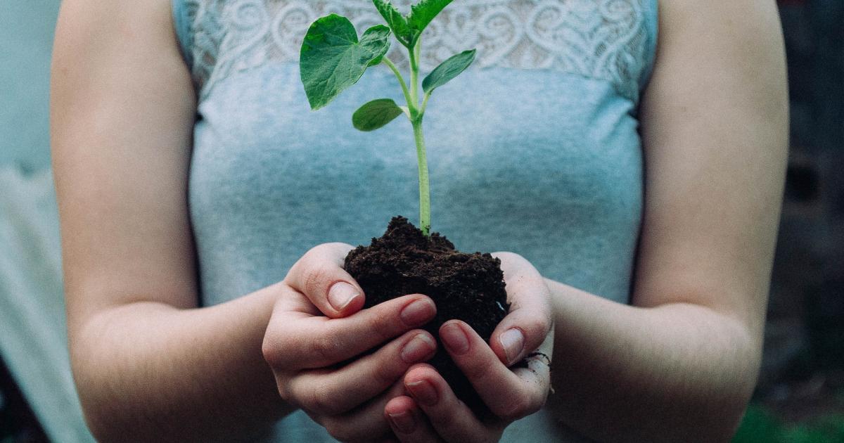 24 citizen-led projects will make Copenhagen greener | TheMayor.EU
