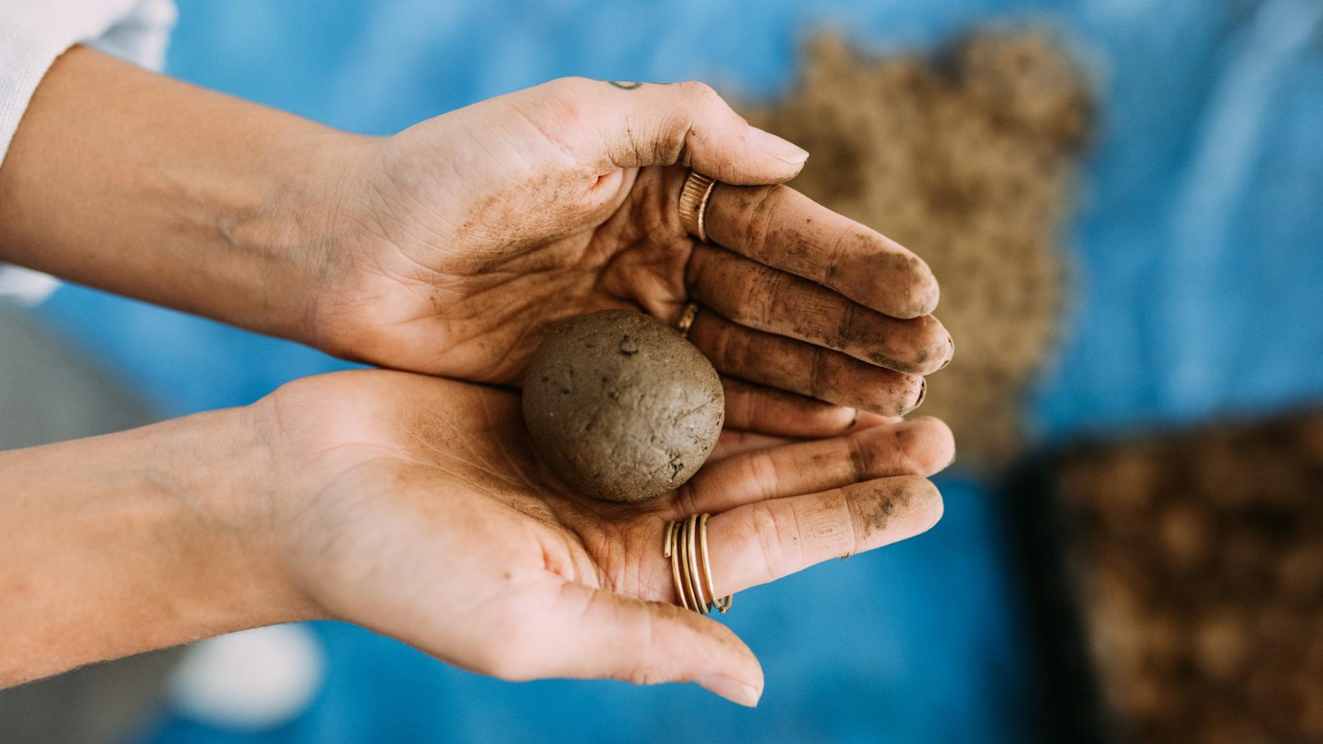 World’s first afforestation project using a drone took place in Croatia ...