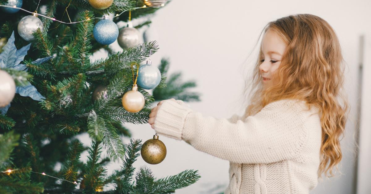 Tychy gives away Christmas trees in exchange for used batteries ...