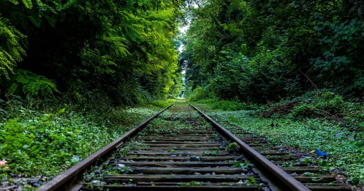 Abandoned railway to become attractive recreational path in Denmark ...