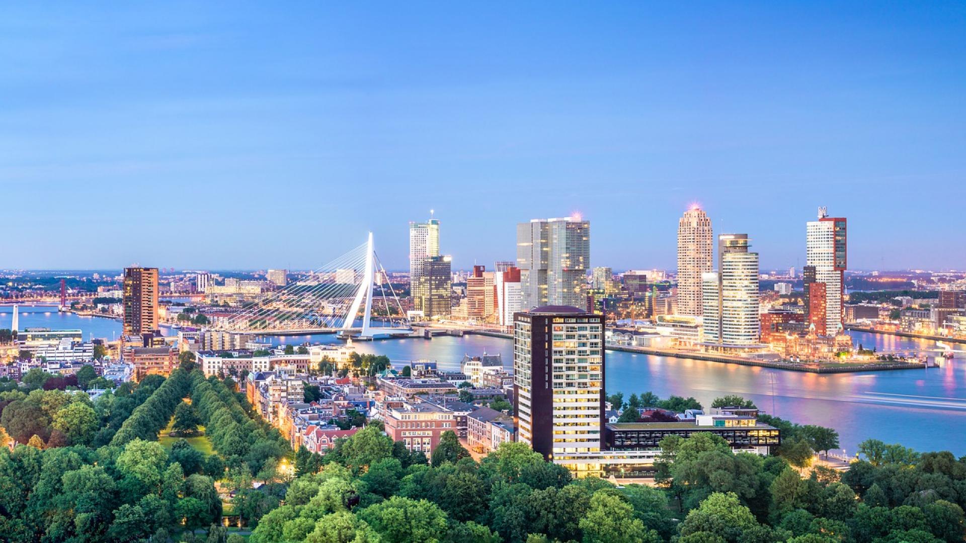 Rotterdam bids farewell to dead trees with QR codes | TheMayor.EU Rotterdam bids farewell to dead trees with QR codes | TheMayor.EU